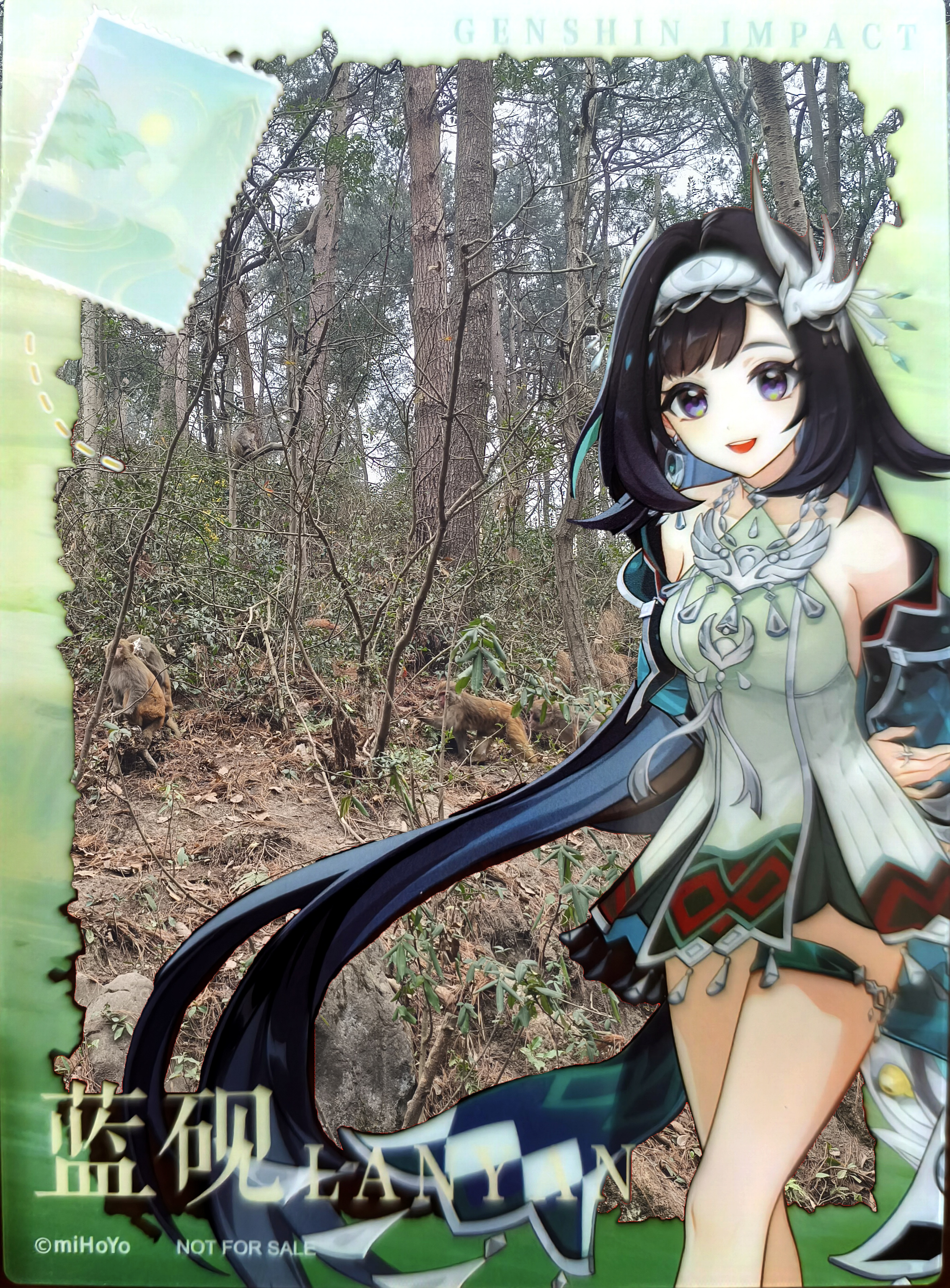 Tailin Song 宋泰霖